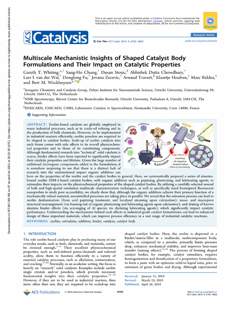 Multiscale Mechanistic Insights of Shaped Catalyst Body Formulations ...
