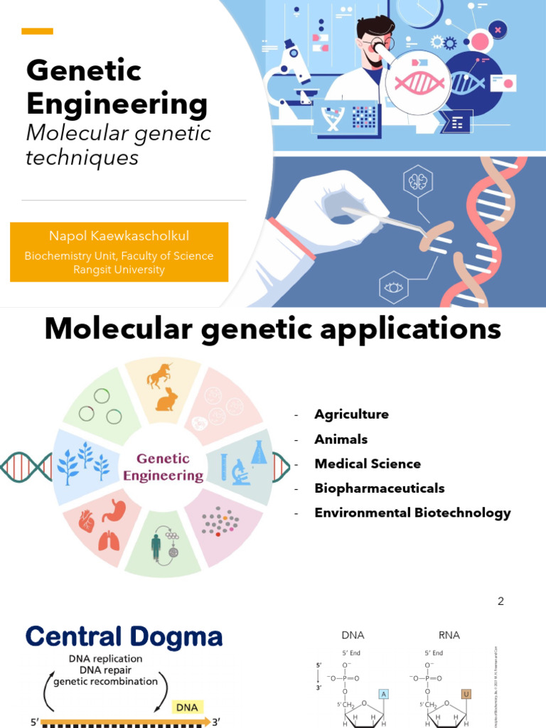 Genetic Engineering Techniques Overview | PDF | Molecular Cloning | Plasmid