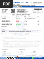 Typhoid Positive Report Format | PDF