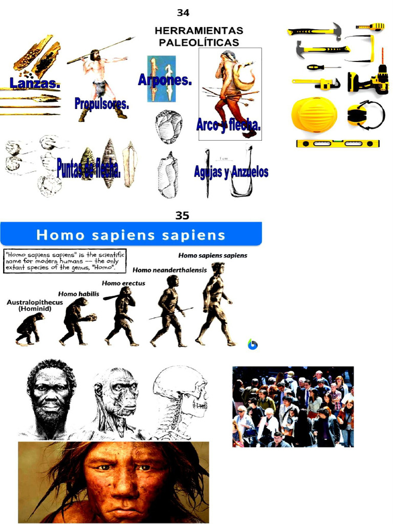 PDFReader 20250522 0441 | PDF