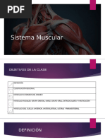 Músculos de Cabeza y Cuello | PDF | Anatomía humana | Sistema esquelético