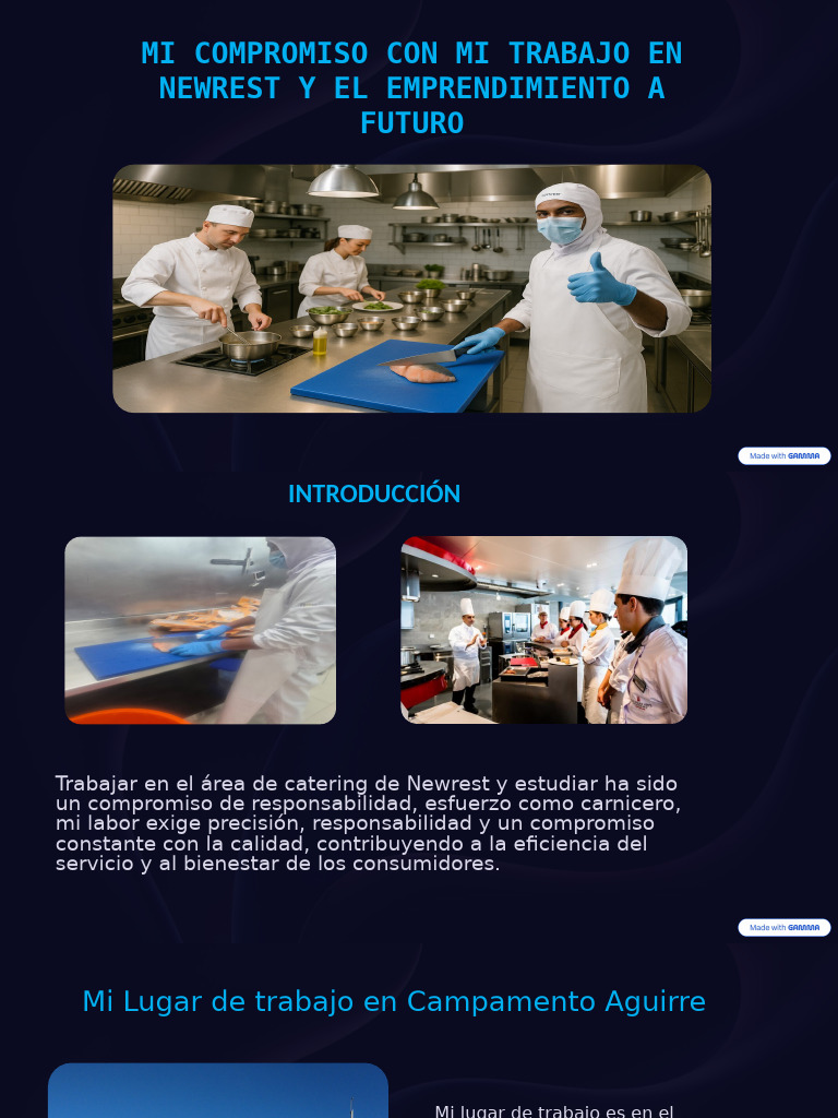 Defenza de Proyecto | PDF | Carne