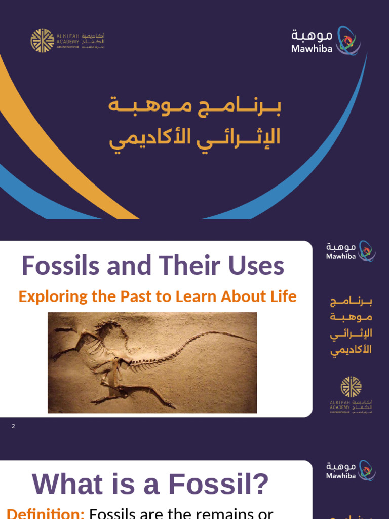 Fossils | PDF