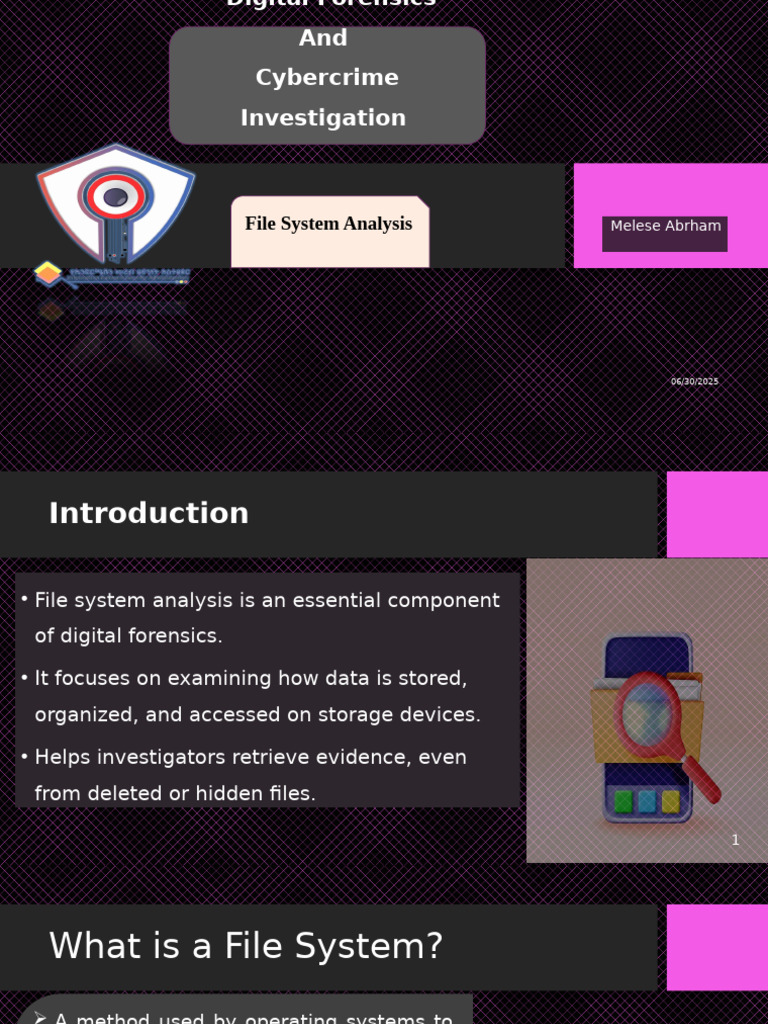 Melese Abrham | PDF | File System | Computer File