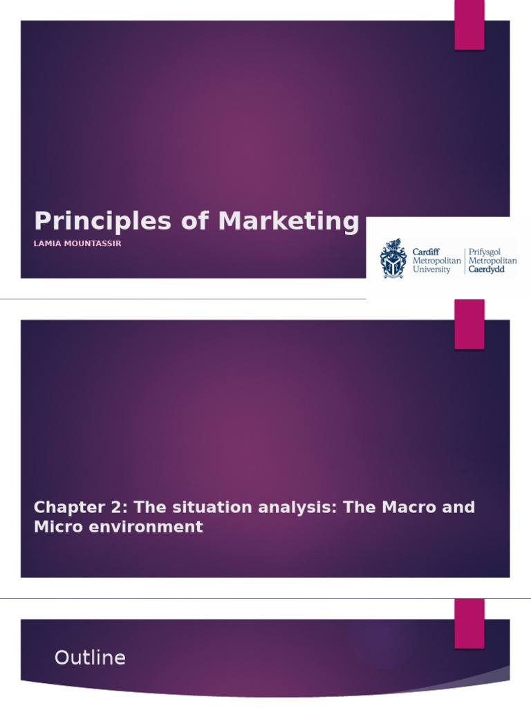 Marketing Environment Analysis Guide | PDF | Marketing | Market (Economics)