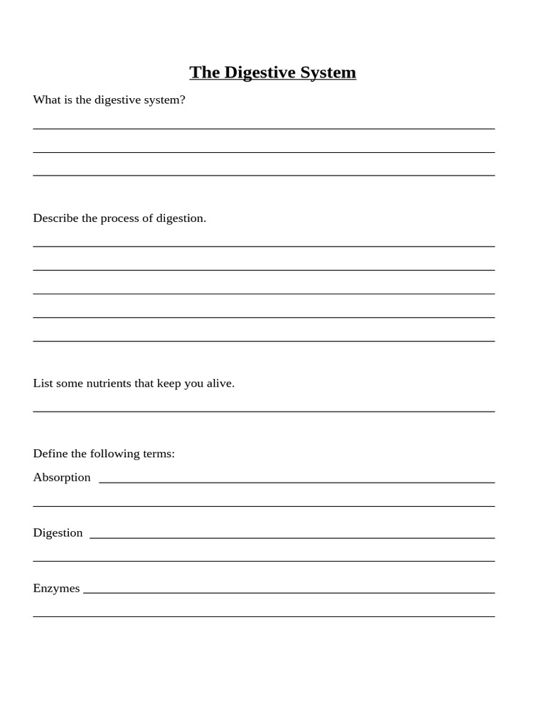 Digestive System Worksheet Guide | PDF
