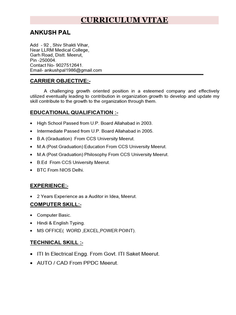 ANKUSH PAL - PDF Resume | PDF
