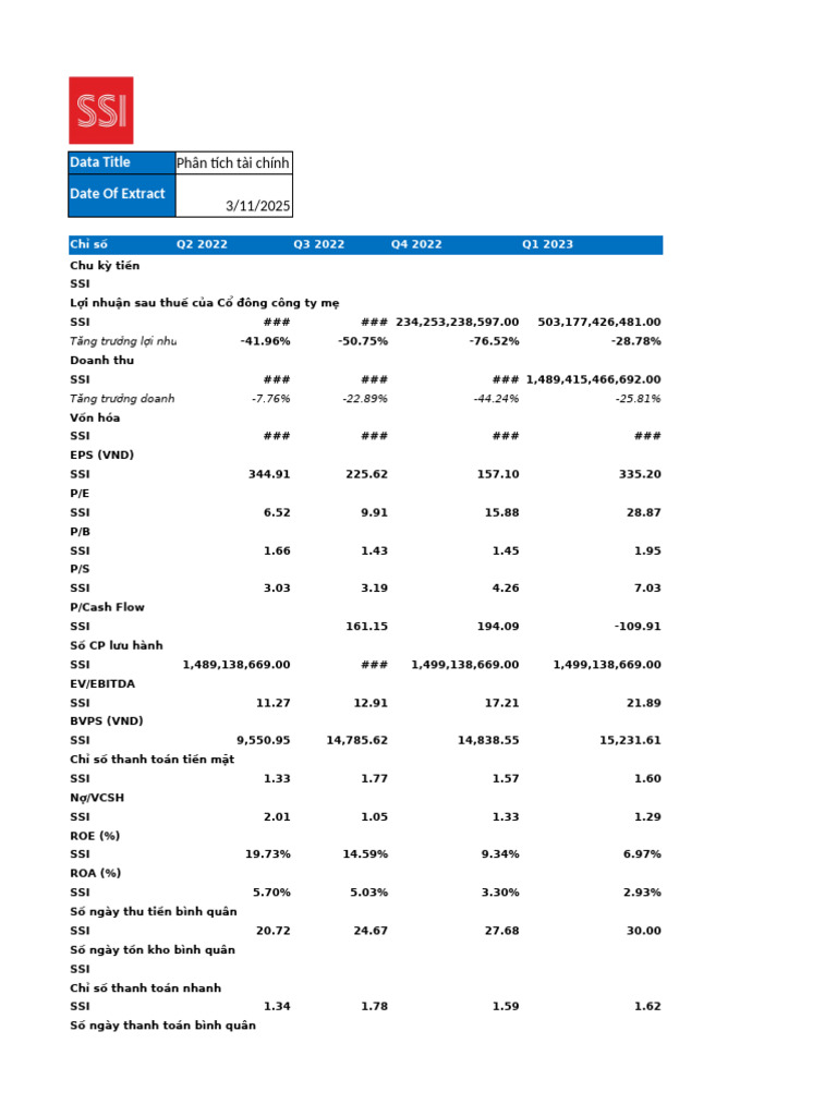 SSI SSI Financial Ratio 11032025 | PDF