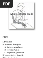 Anatomie détaillée du coude humain | PDF | Articulation (anatomie) | Anatomie humaine