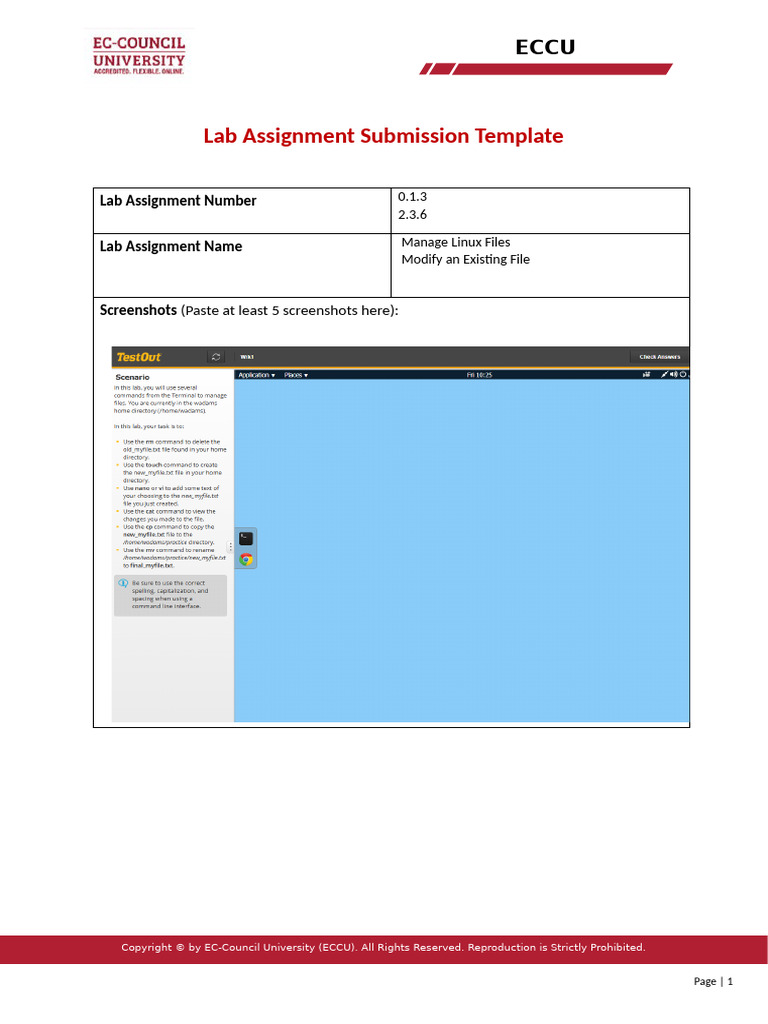 LabAs - 0.1.3 - Manage Linux Files | PDF | Software Engineering | Computing