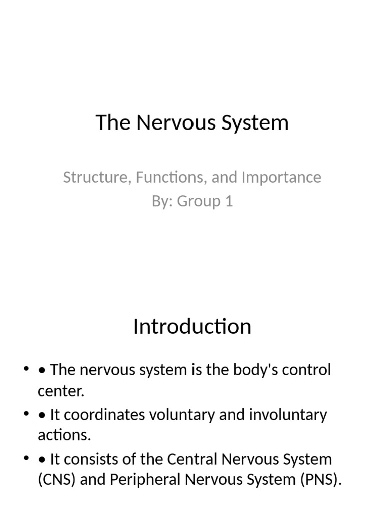 Nervous System Presentation | PDF