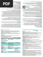 Carpenito - VPK Diagnosen - Missende Diagnosen | PDF