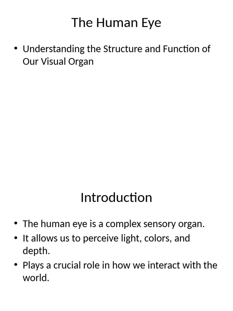 Human Eye Presentation | PDF