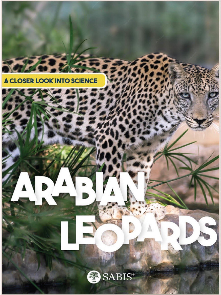 Arabian Leopards | PDF