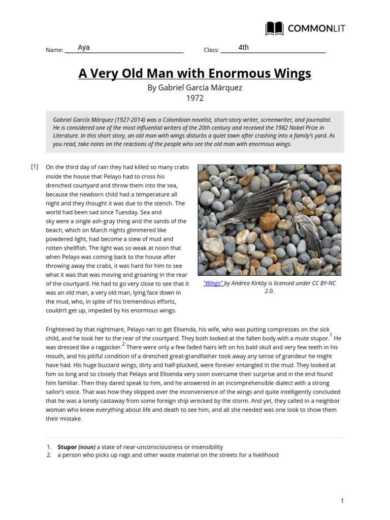 A Very Old Man With Enormous Wings | PDF