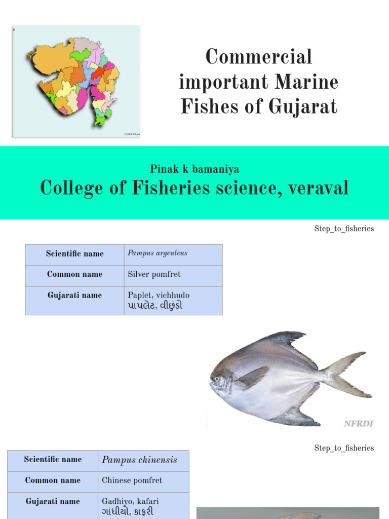 Marine Fish Names in Gujarati | PDF | Tuna | Fish