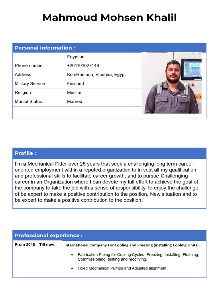 Mahmoud Mohsen Khalil CV's | PDF