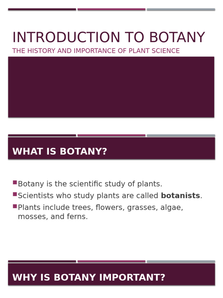 Botany | PDF