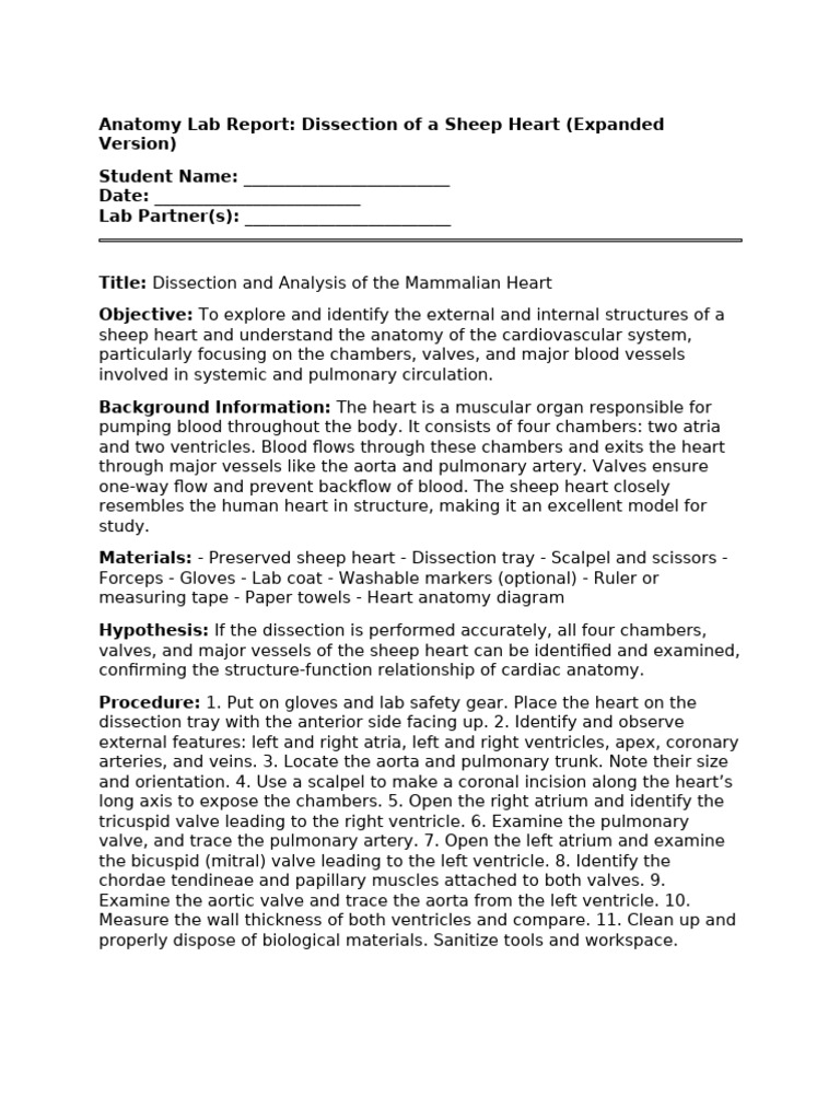 Heart Dissection Lab Report | PDF | Heart Valve | Heart