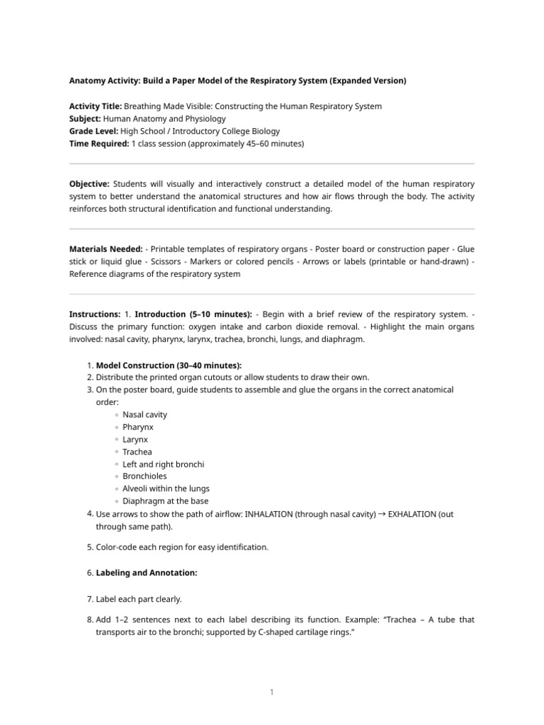 Respiratory System Activity | PDF | Respiratory System | Animal Physiology