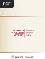 Programa SinteticoFase 3-02 | PDF