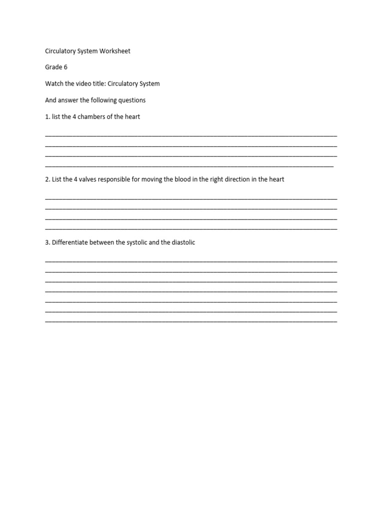 Grade 6 Circulatory System Worksheet | PDF