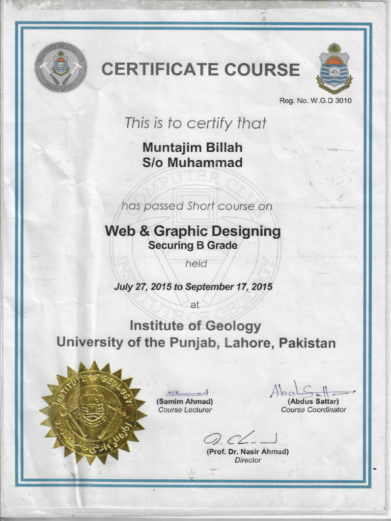 Graphic Course | PDF