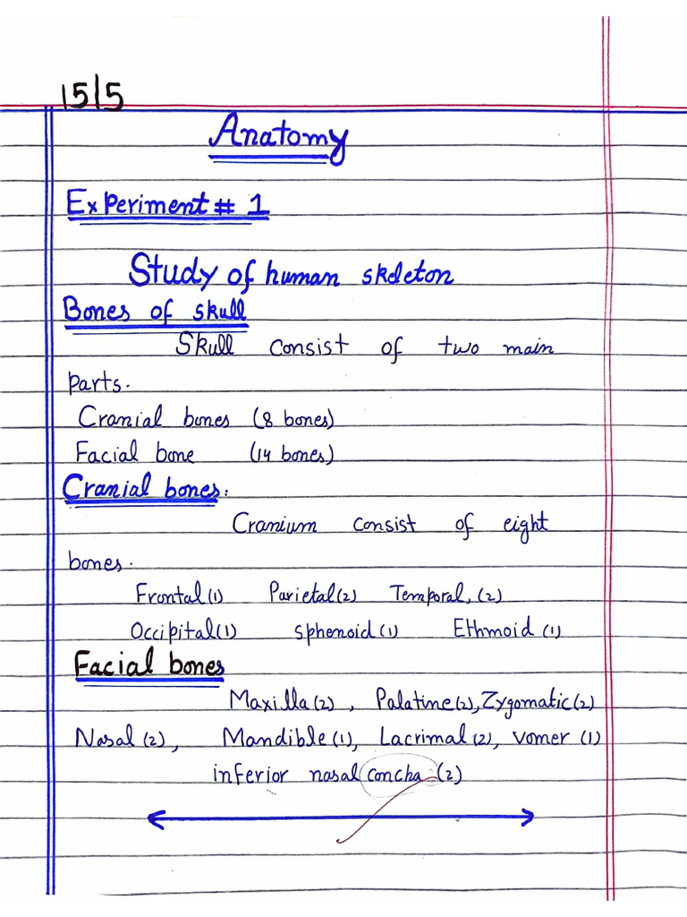 Anatomy and Physiology Practical Notebook | PDF
