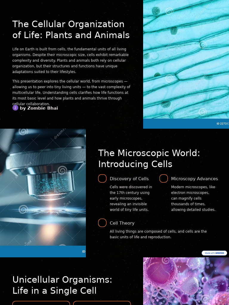 The Cellular Organization of Life Plants and Animals | PDF | Cell ...