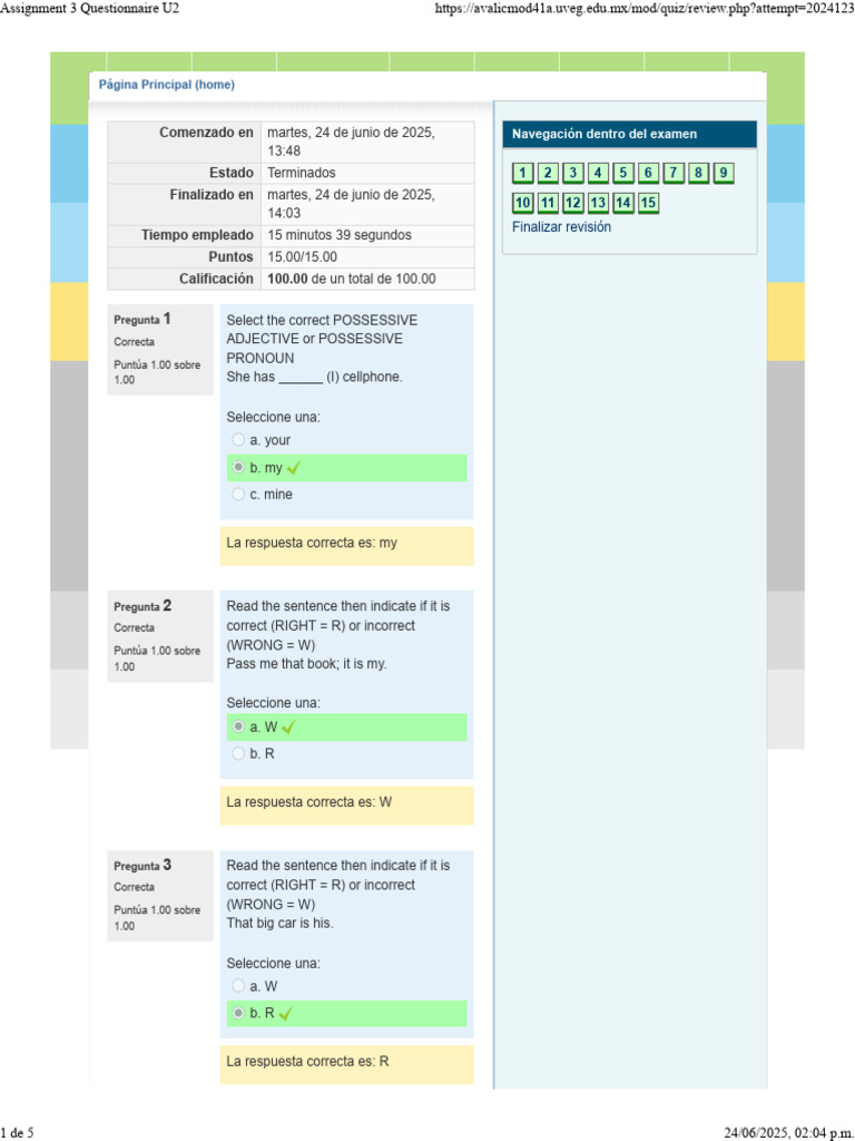 Assignment 3 Questionnaire U2 Exa 2 | PDF