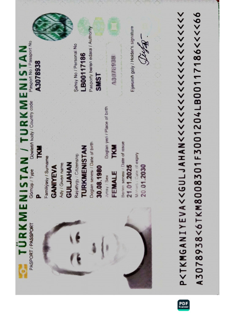 ACE Scanner - 2025 - 06 - 30 | PDF