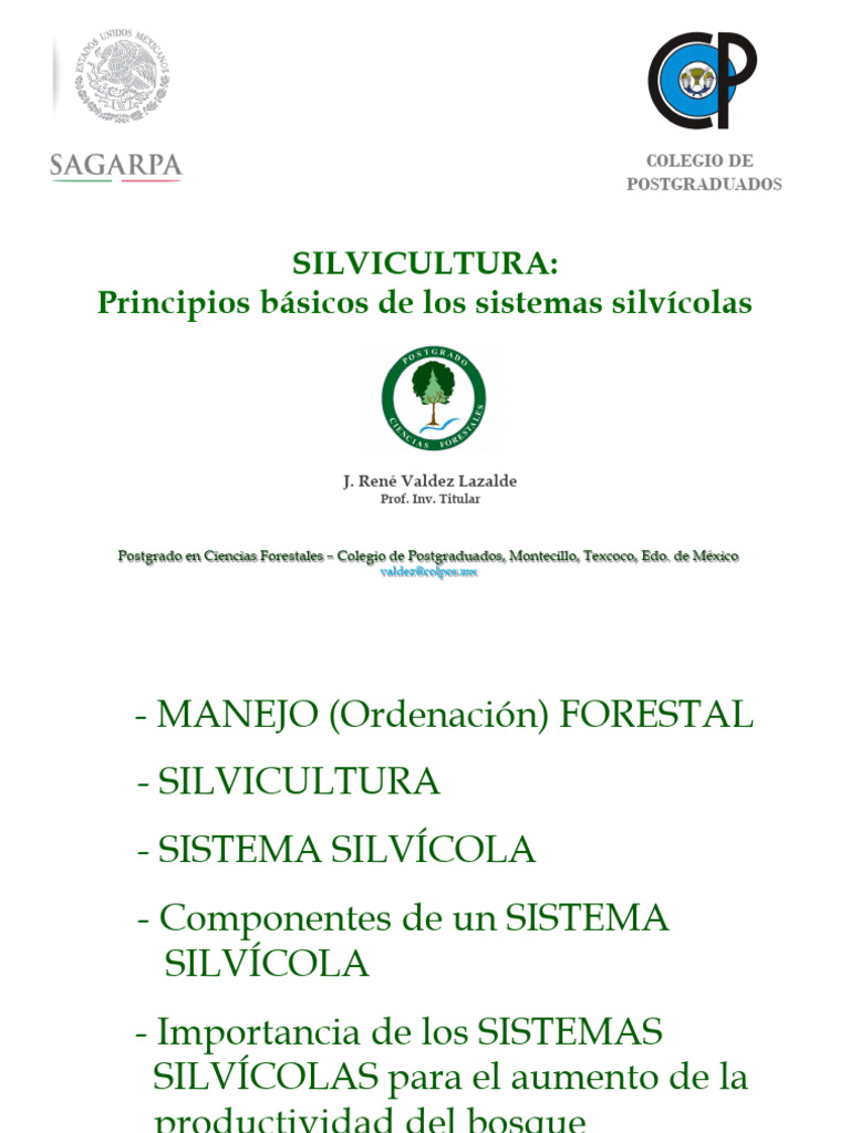SILVICULTURA - Principios Básicos de Los Sistemas Silvícolas | PDF ...