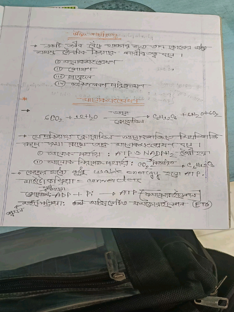 Botany Physiology | PDF