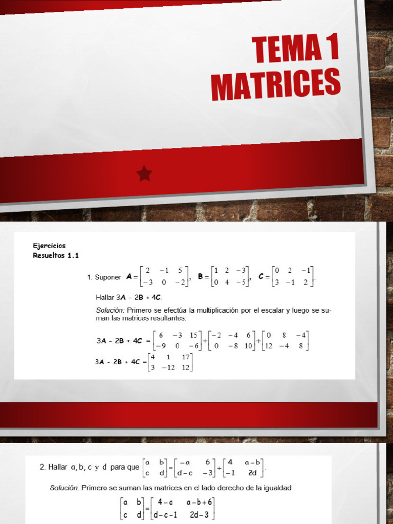 Tema 1 Ejercicios | PDF