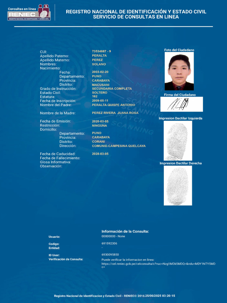 Ficha C4 Azul 73534687 | PDF