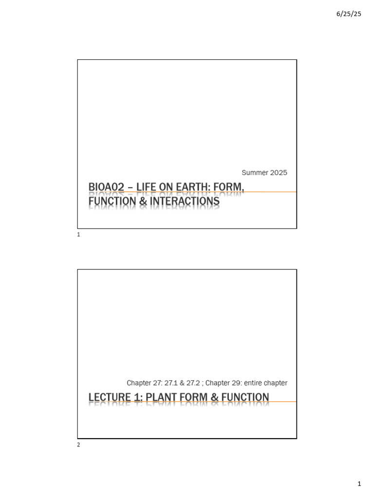 Plant Form and Function Overview | PDF | Leaf | Plant Stem