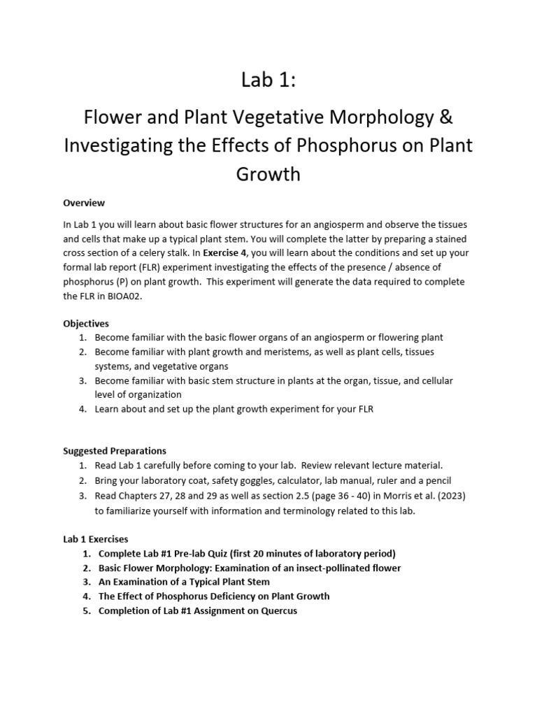 BIOA02 Lab 1 Plants Summer 2025 | PDF | Leaf | Tissue (Biology)