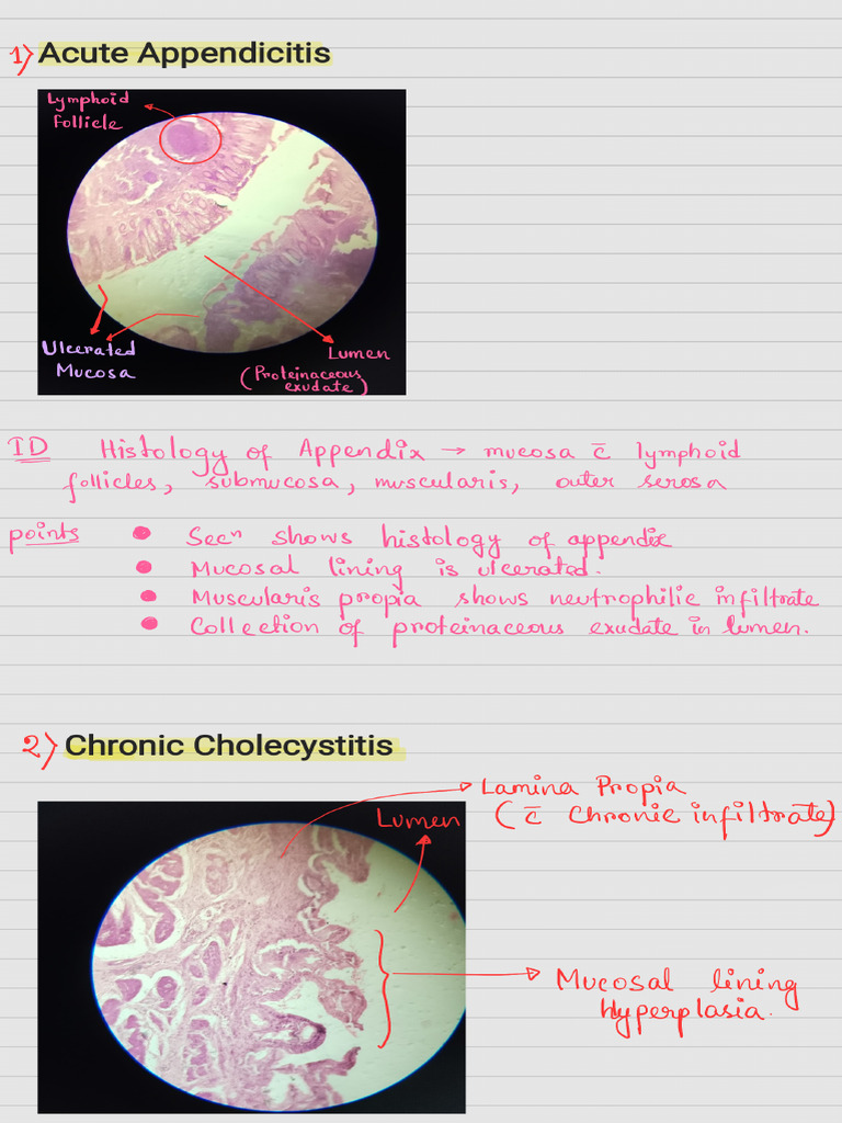 Histopatho Practical | PDF