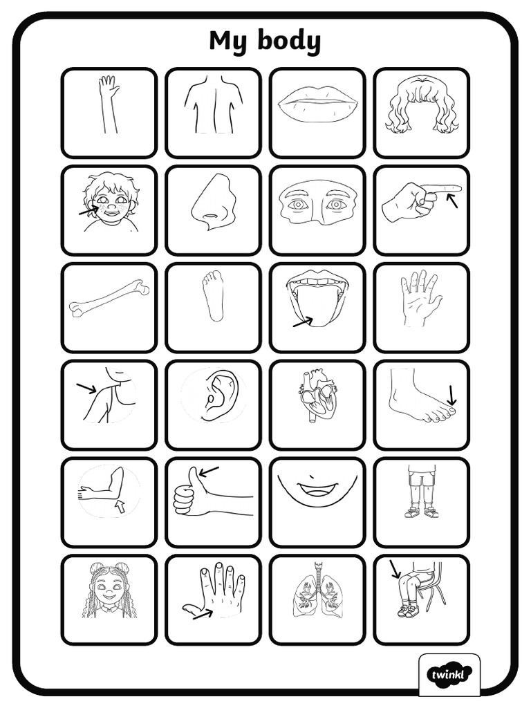My Body Vocabulary Matching Mat | PDF | Hand | Foot