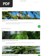 Trees and Botanical Names in Nigeria | PDF | Trees | Plants