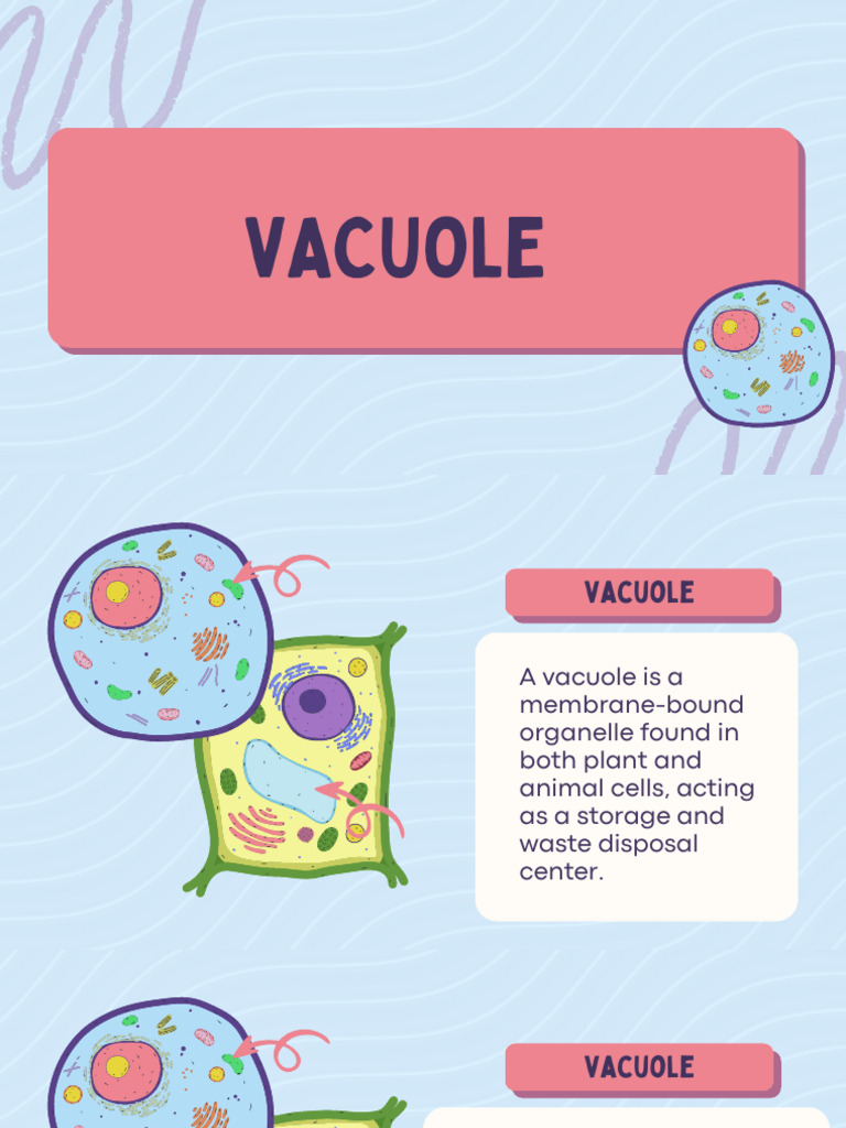 Cell Organelles & Structures Lesson Presentation in Blue and Pink Hand ...