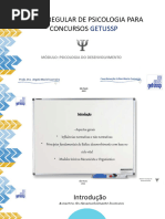 PDAI - Aula 2 - Baltes | PDF | Psicologia | Envelhecimento