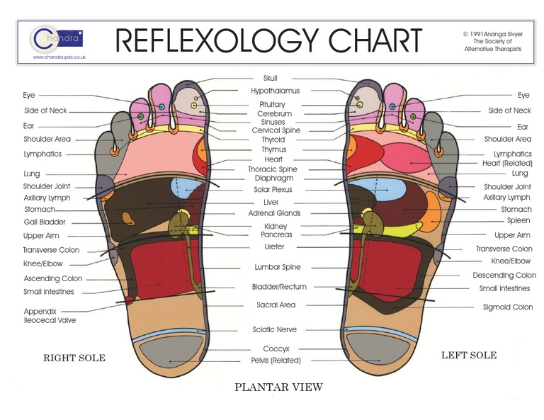 Reflexology Chart | PDF