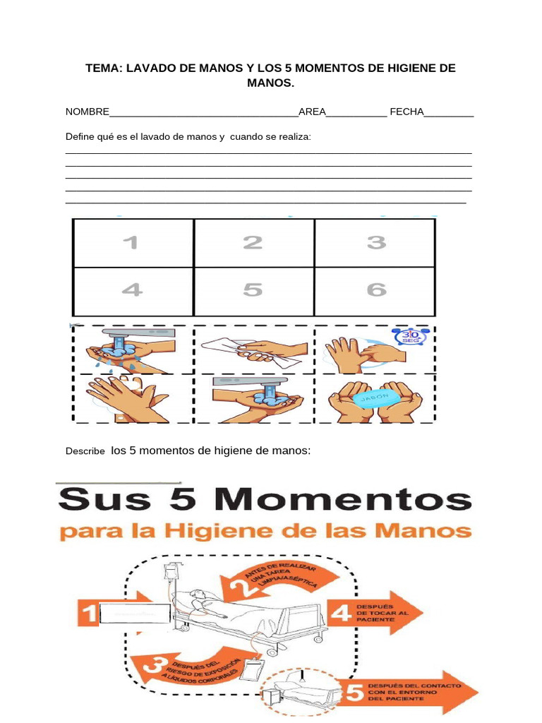 Tema - Lavado de Manos y Los 5 Momentos de Higiene de Manos | PDF
