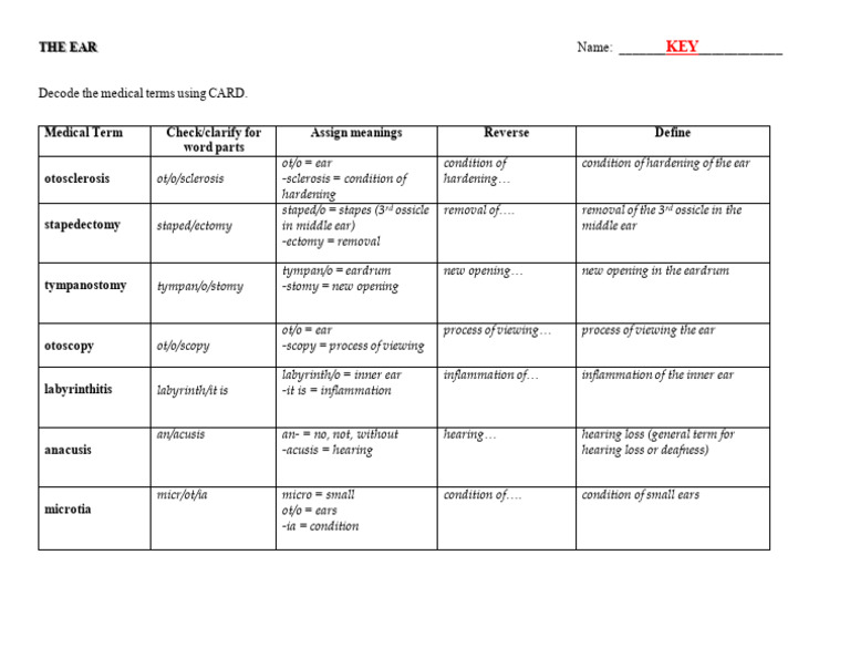 Chapter 13 - The Ear - Decoding CARD Handout - Key | PDF