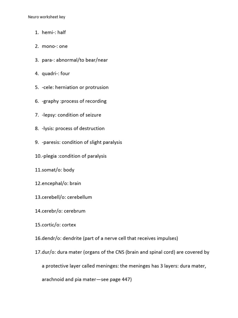 Nervous System Worksheet Key | PDF