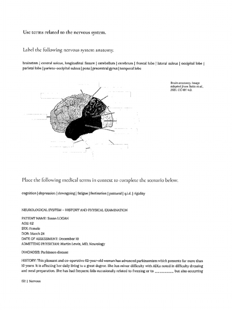 Nervous System Activities OER | PDF