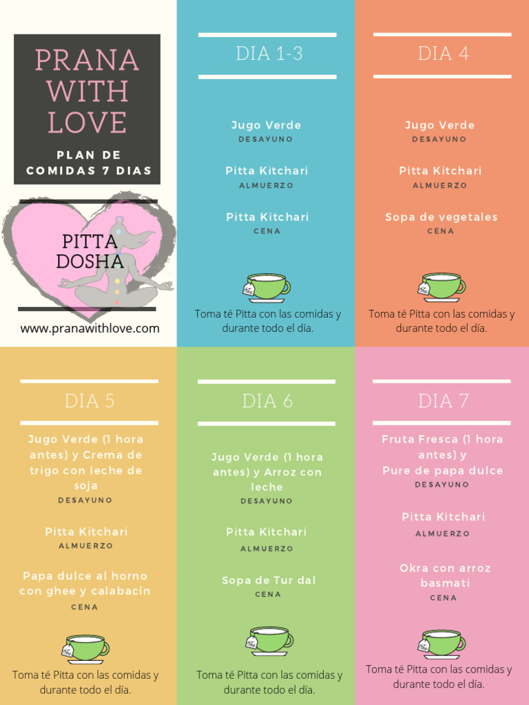 Pitta Free Meal Plan Spanish | PDF