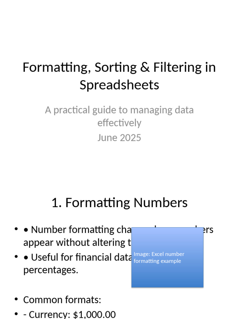 Formatting Sorting Filtering Detailed | PDF