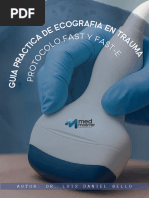 Protocolo TFAST y AFAST en Veterinaria | PDF | Ultrasonido médico | Lesión